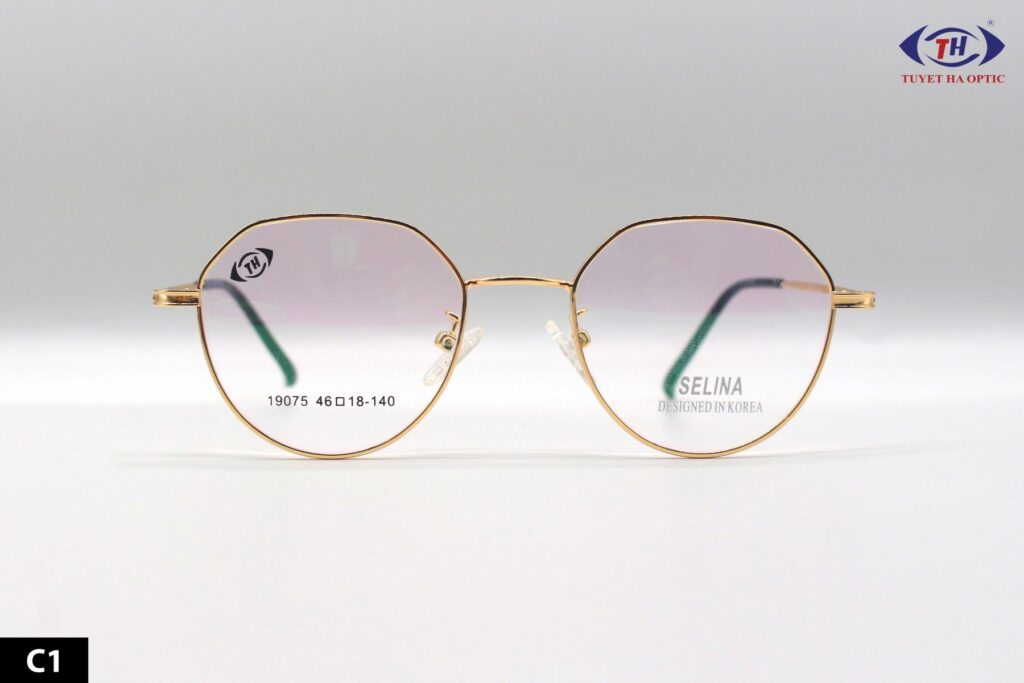 Gọng kính kim loại selina 19075 - Tuyết Hà Optic